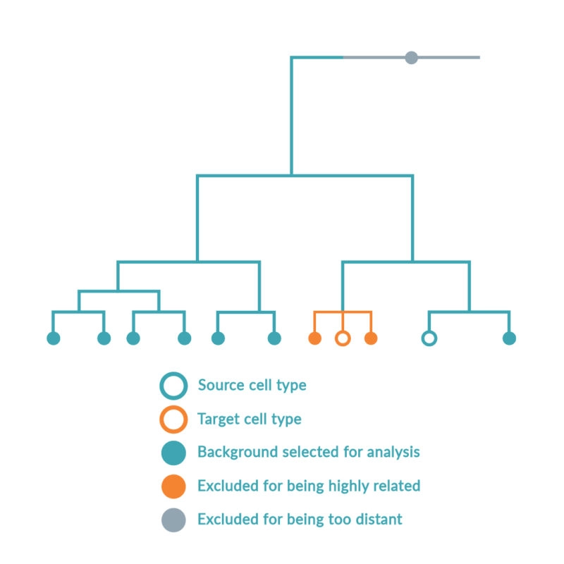 Direct Cellular Reprogramming | MOGRIFY® Technology