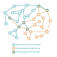 Direct Cellular Reprogramming | MOGRIFY® Technology