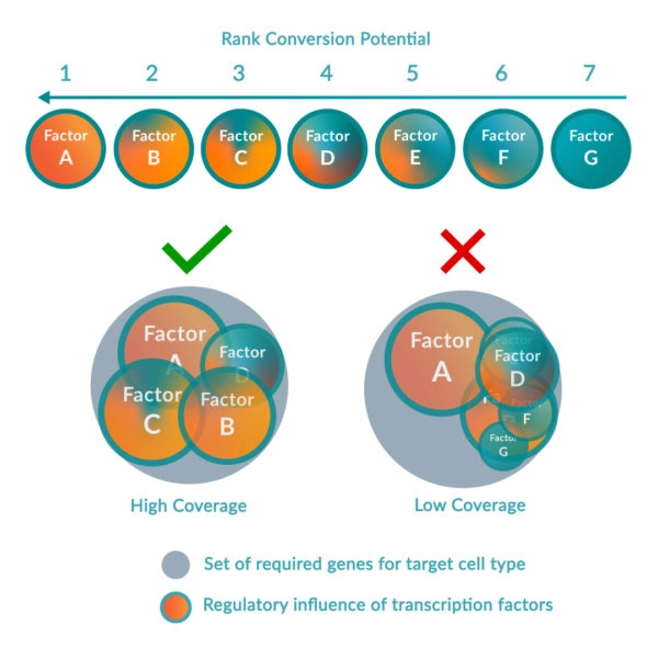 Direct Cellular Reprogramming | MOGRIFY® Technology