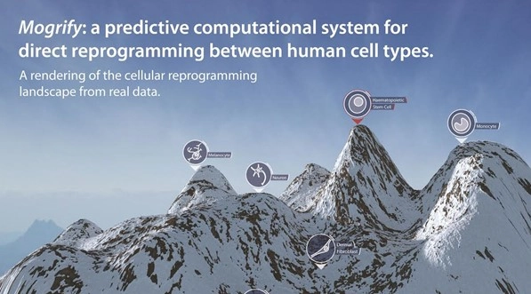 Cell Conversion Shortcuts Mapped with Predictive System - Mogrify