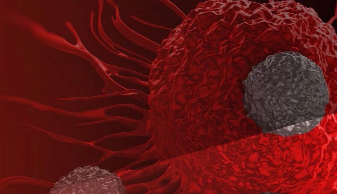 Partnering with Mogrify | Cell Therapy & Cellular Reprogramming